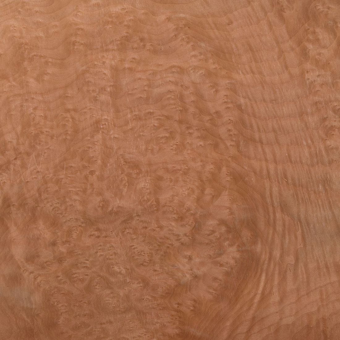 Real wood veneer Madrone Burl, Roser AG, Basel